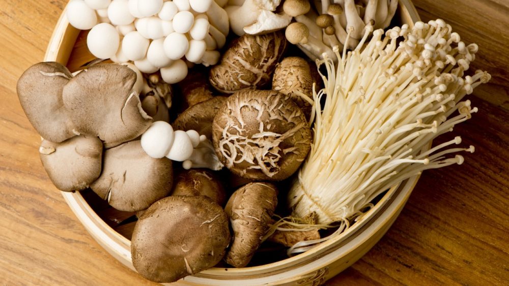 Hongos: conocé cuáles son los principales - Cucinare