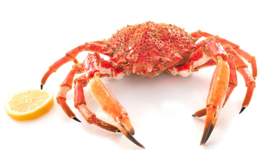 La ruta de la centolla, clave de la gastronomía patagónica - Cucinare