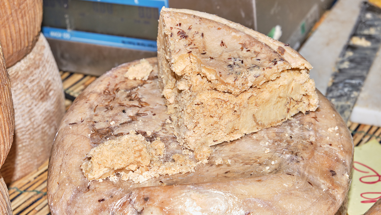 Casu marzu - Cucinare