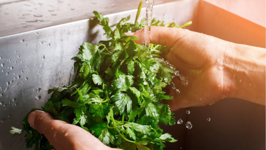 Tintura vegetal, una manera natural de colorear tus platos - Cucinare