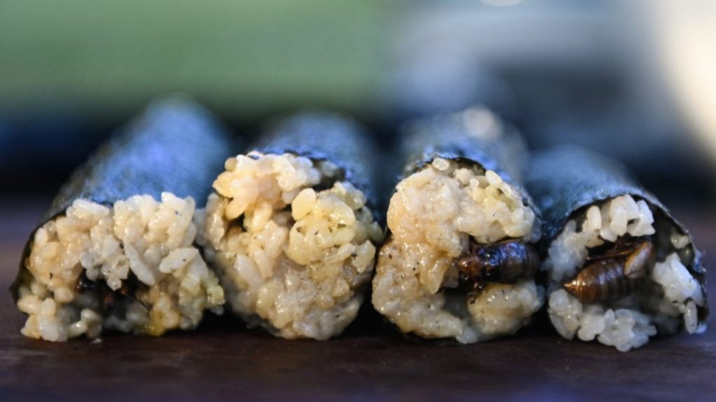 Rolls de sushi con insectos fritos, el plato que sorprendió a los ...