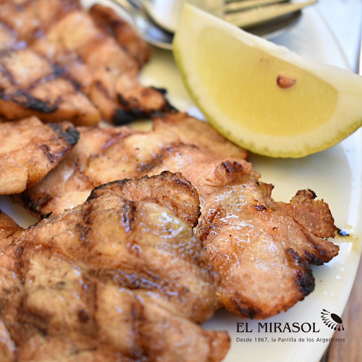 El-Mirasol-1 - Cucinare