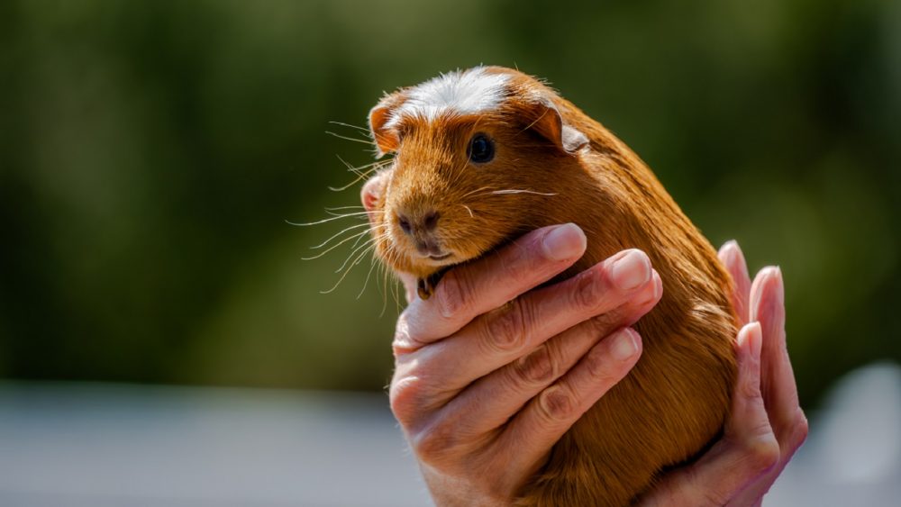 La reacción del dueño de un restaurante por el mensaje de una empleada ...